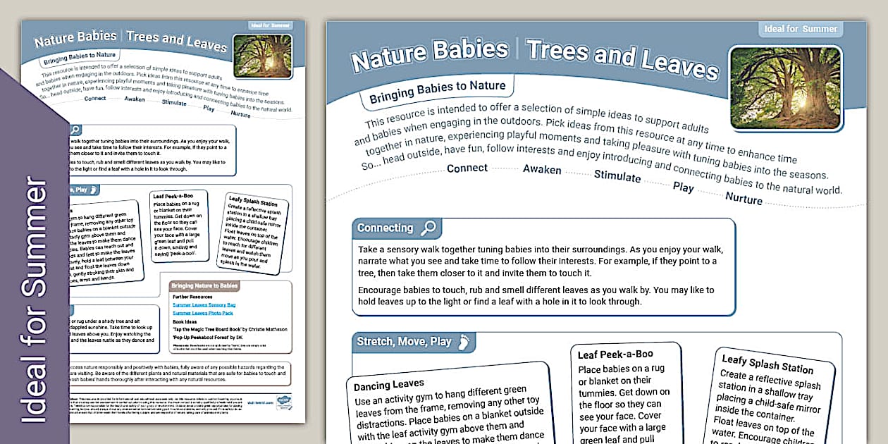 EYFS Nature Babies: Trees and Leaves | Twinkl (teacher made)