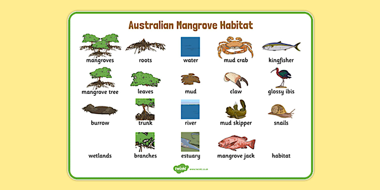 Cursive Australian Mangrove Habitat Word Mat - Twinkl