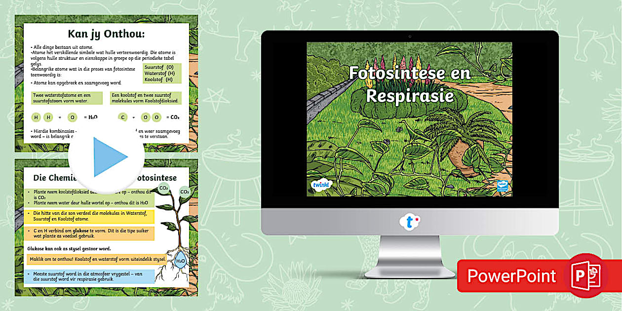 Fotosintese en Respirasie PowerPoint (teacher made) - Twinkl
