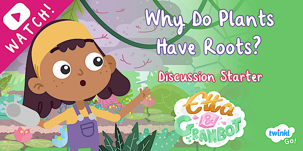 Why Do Plants Have Roots? Animation | Etta & Granbot