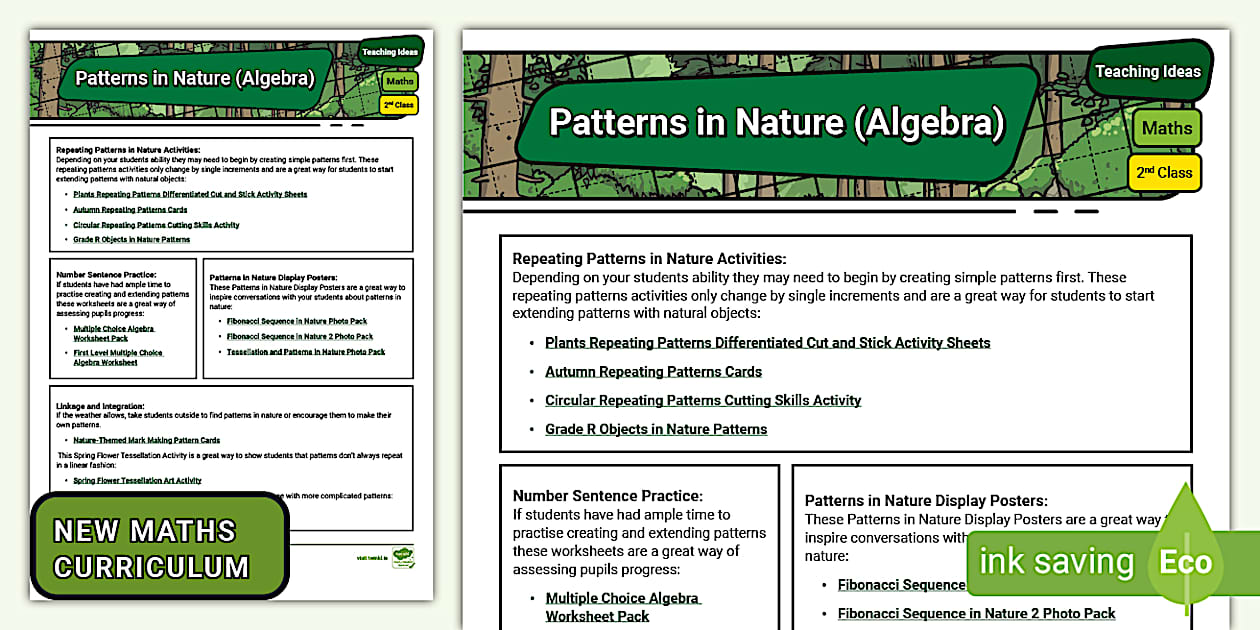 Patterns in Nature (Algebra) Teaching Ideas - Twinkl