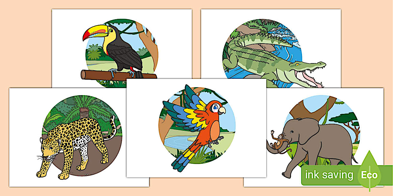 Bedroom Decorations Jungle Animals (teacher made) - Twinkl