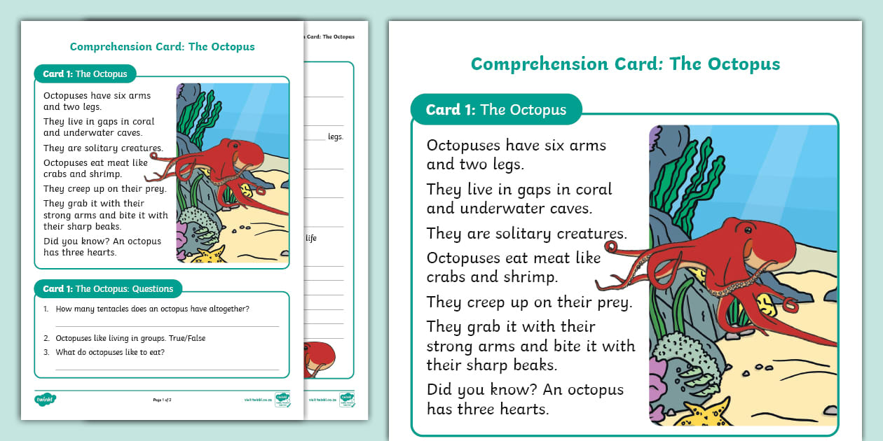 The Octopus: Comprehension Card - More Questions - Twinkl