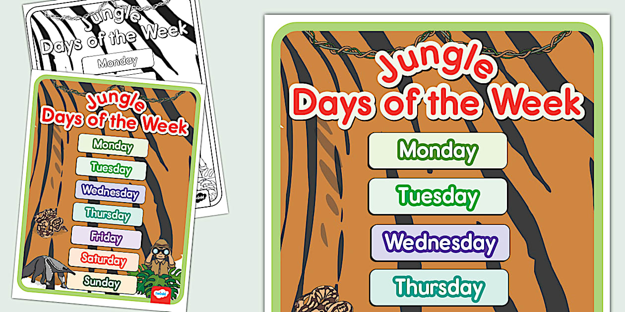 Jungle Days of the Week Display Poster (teacher made)
