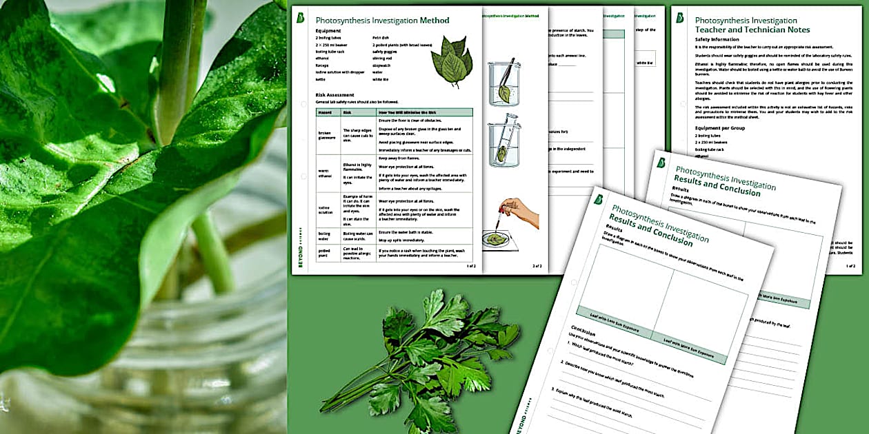Investigating Photosynthesis Experiment | KS3 | Beyond
