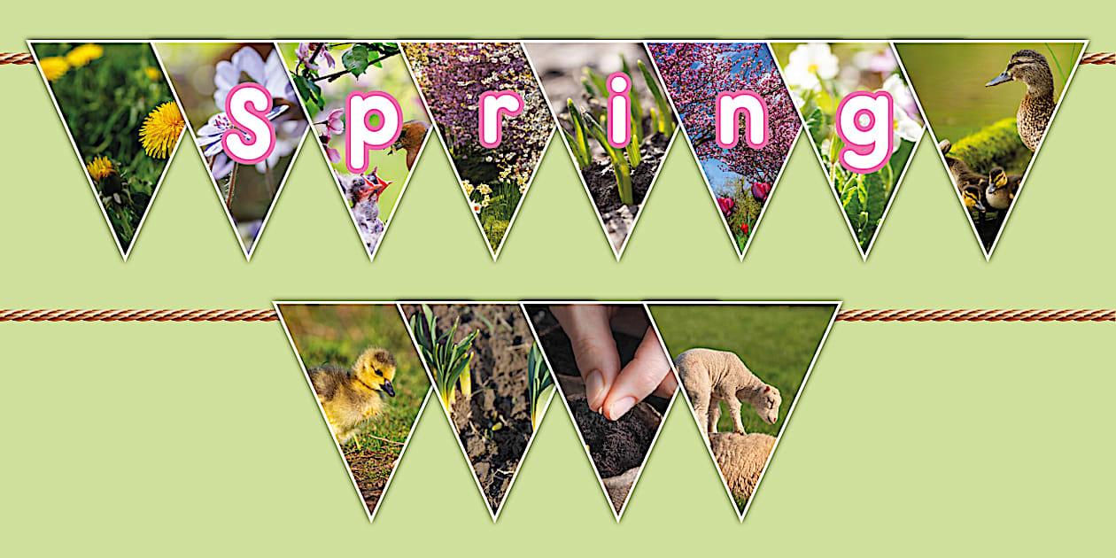 Spring Bunting | Celebrating Spring Season | Twinkl USA