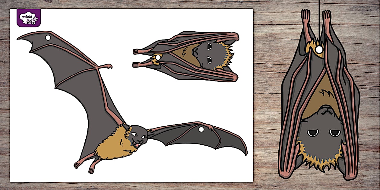 Halloween Bat Printable | Twinkl Party (teacher made)