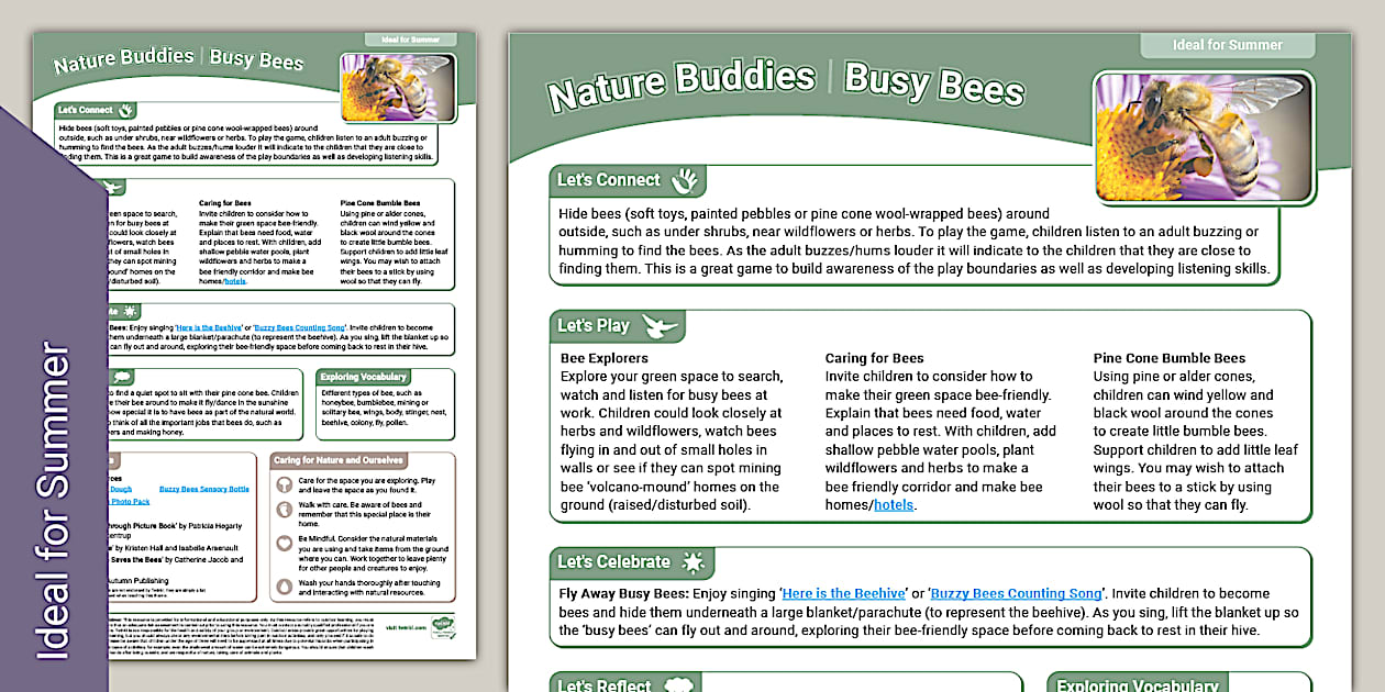 Nature Buddies Outdoor Learning: Busy Bees | Twinkl - Twinkl