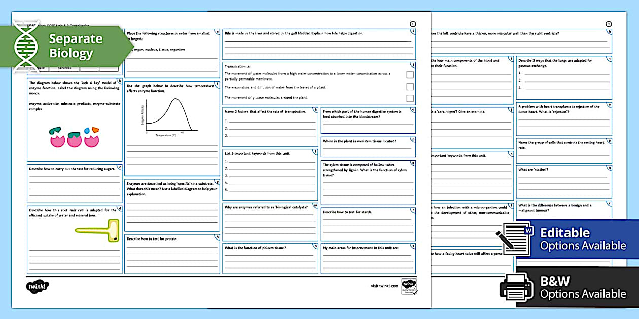 AQA Biology (Separate) Organisation Revision | GCSE | Beyond