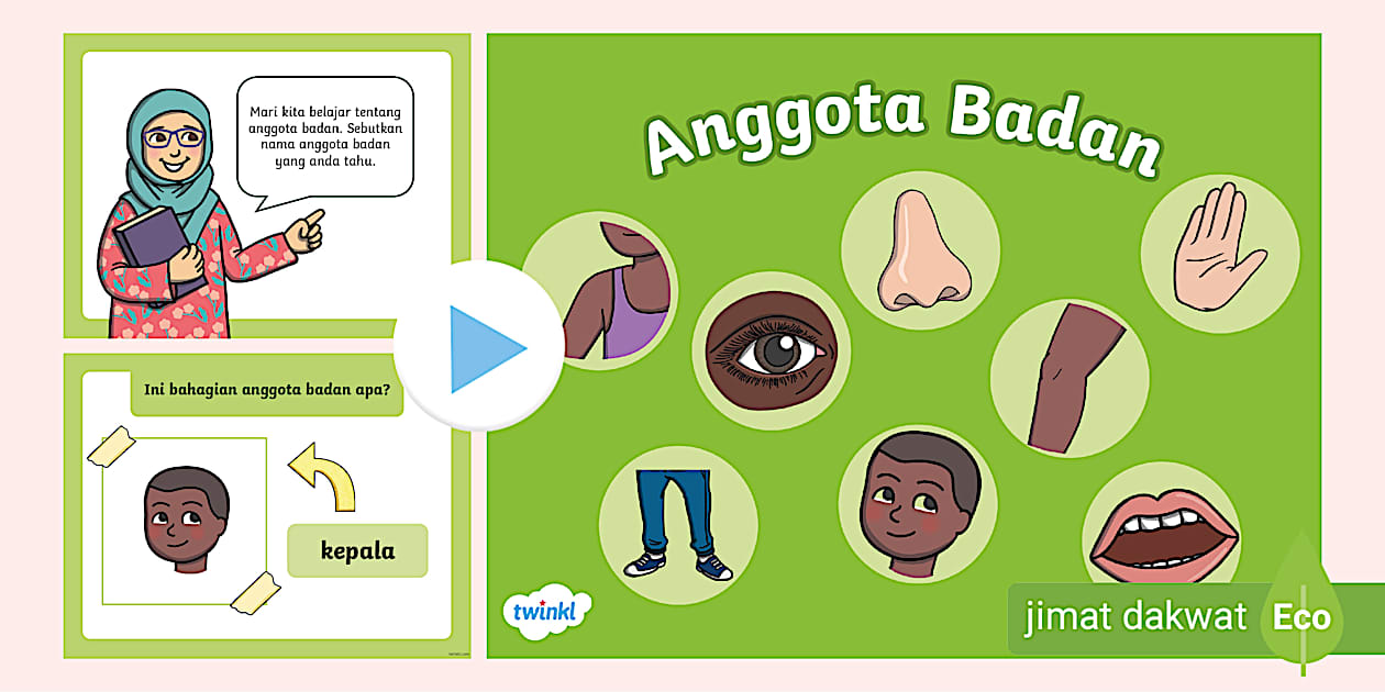 PowerPoint Mengenal Anggota Badan dan Fungsinya - Twinkl