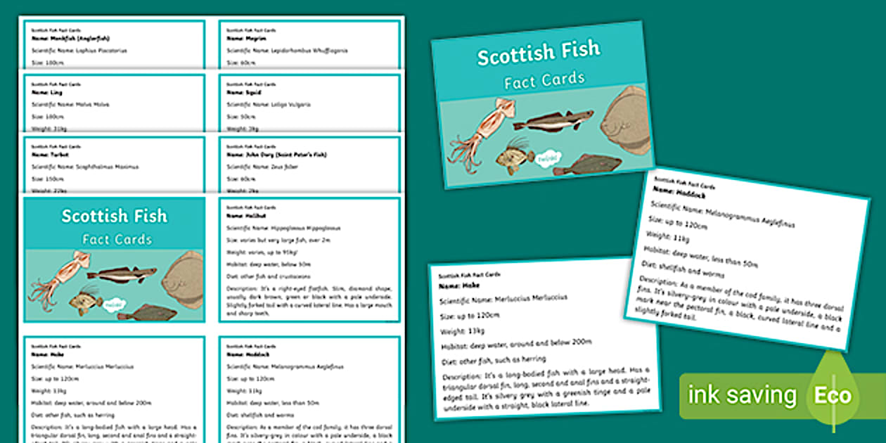 Scottish Fish Fact Cards (teacher made) - Twinkl