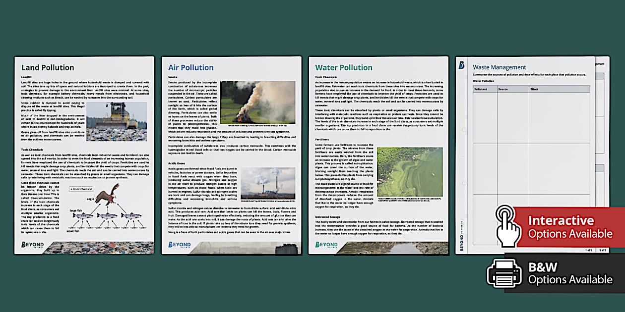 Waste Management Reading Comprehension (teacher made)