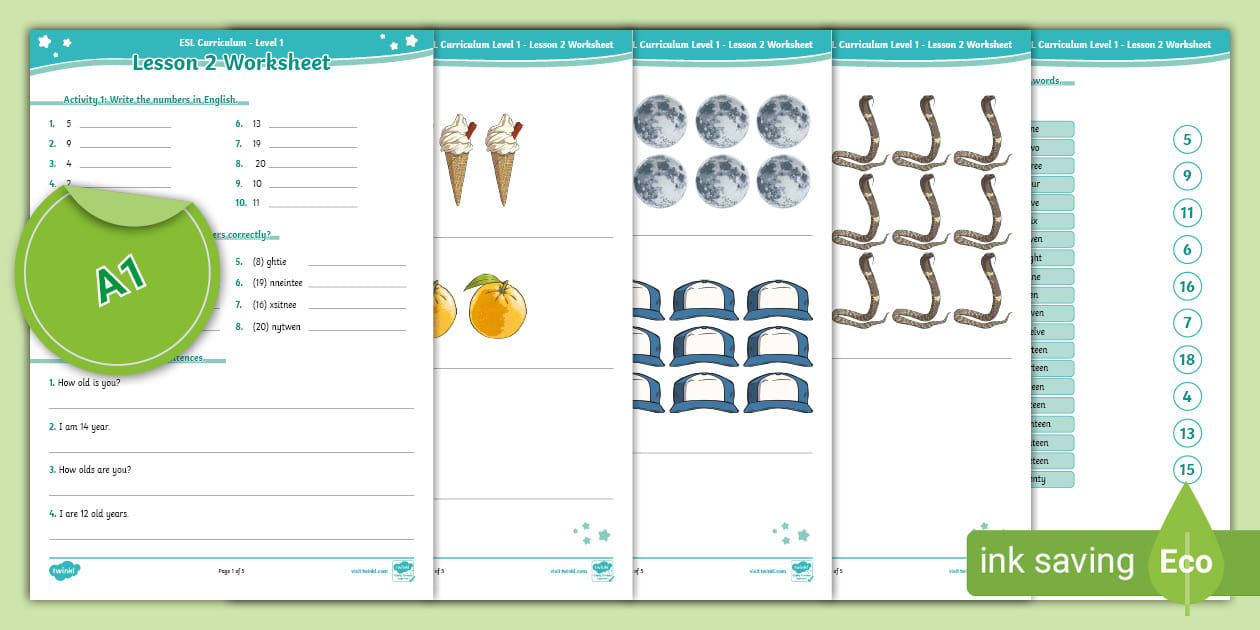 ESL Curriculum for Beginners: Lesson 2 Worksheet - Twinkl