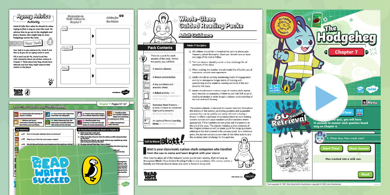 FREE! - The Hodgeheg Whole-Class Guided Reading: Chapter 7 [LKS2]