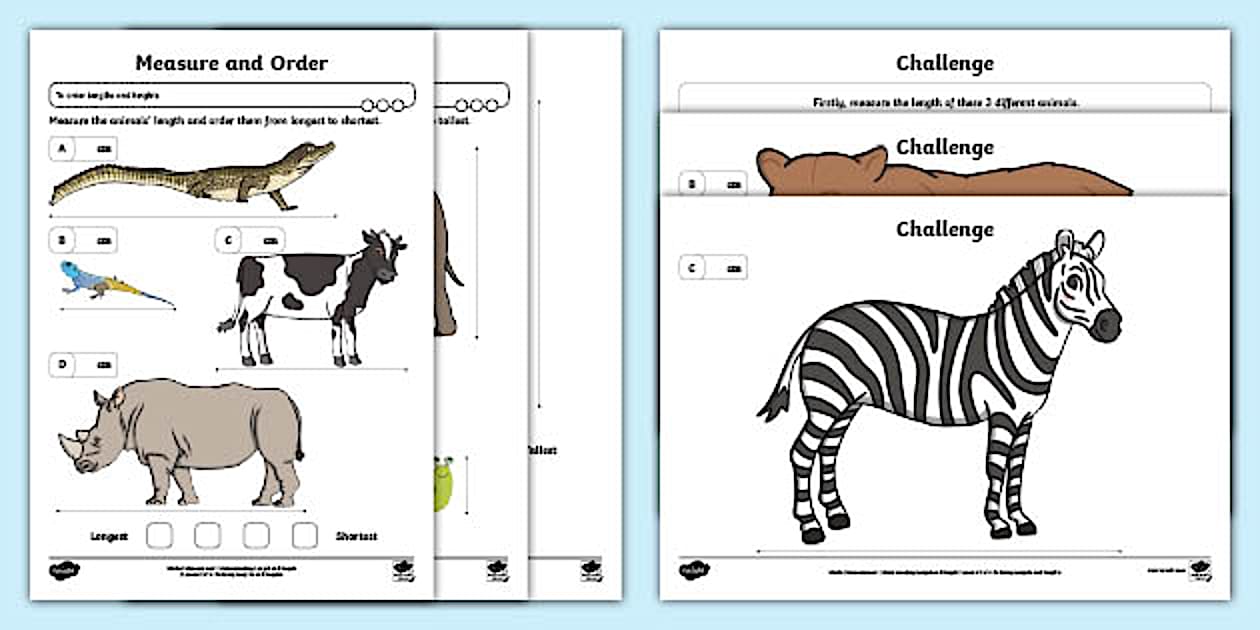 👉 Year 2 Measure and Order Length PlanIt Maths - Twinkl