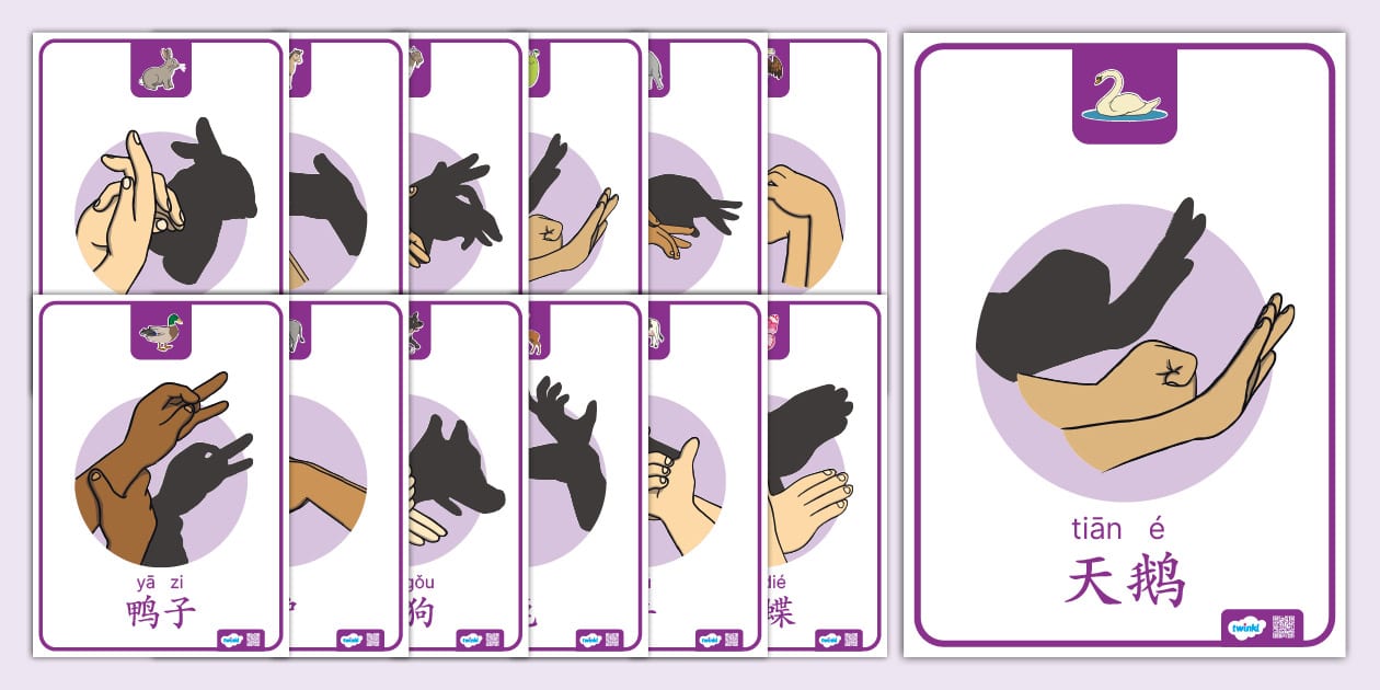 Singapore Mandarin With Pinyin Animal Finger Shadow Puppets