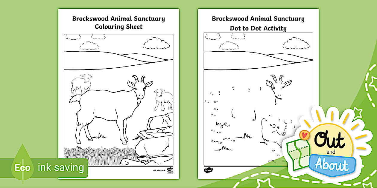Brockswood Animal Sanctuary Activity Pack (Teacher-Made)