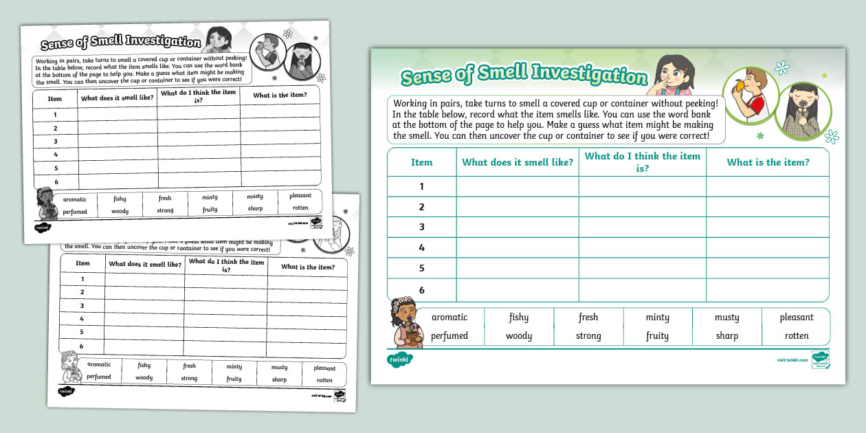 Sense of Smell Investigation Worksheet - Twinkl