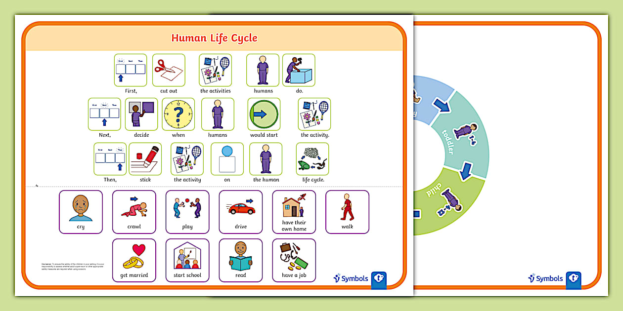 Twinkl Symbols: Science: Human Life Cycle Activity Sheet (Lesson 3)