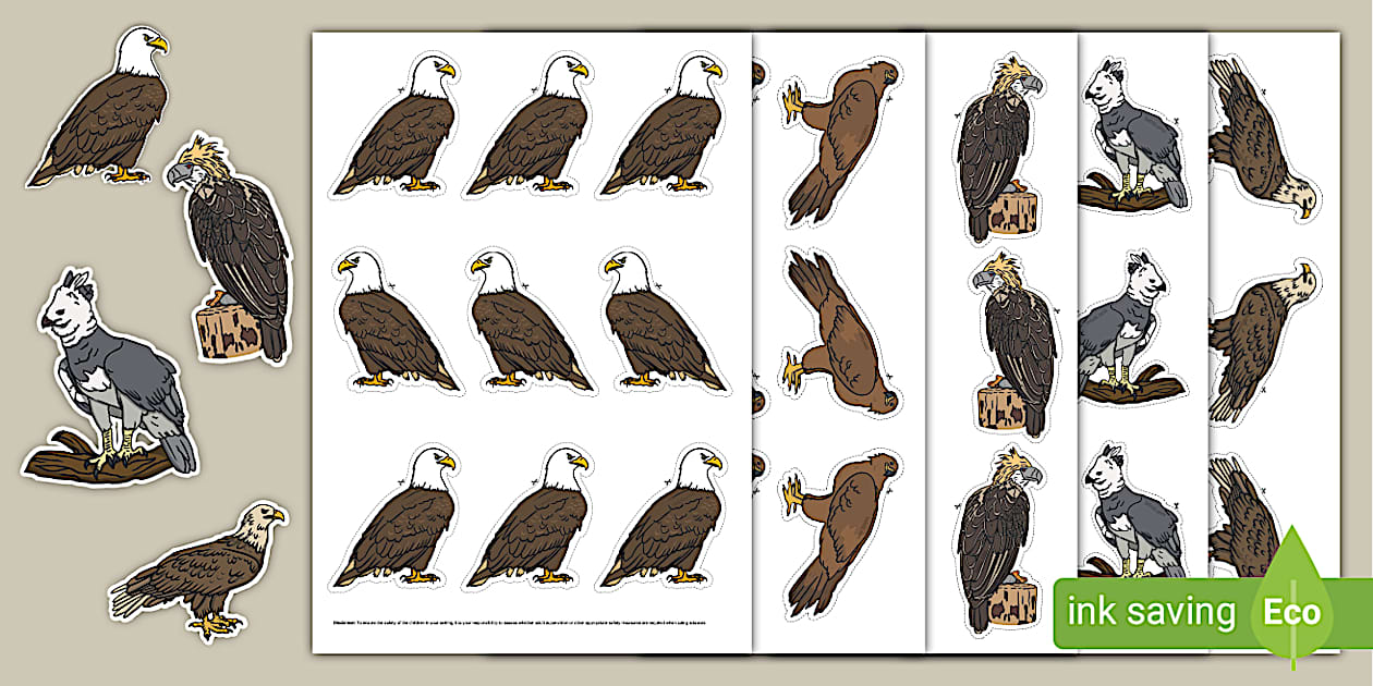 Small Eagle Cut-Outs (Teacher-Made) - Twinkl