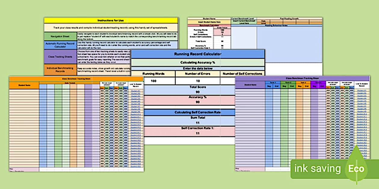 Editable Class Benchmark Tracking Sheets and Assessment Records