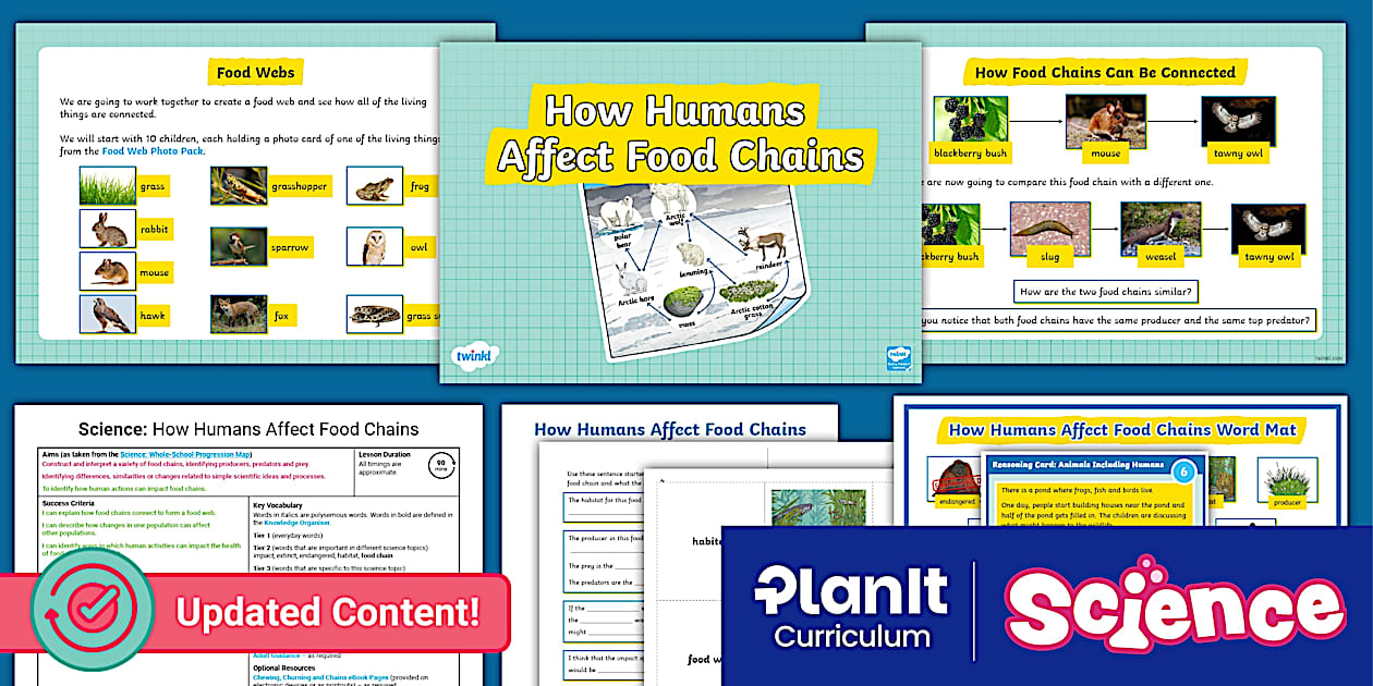 Year 4 Lesson 6: How Humans Affect Food Chains