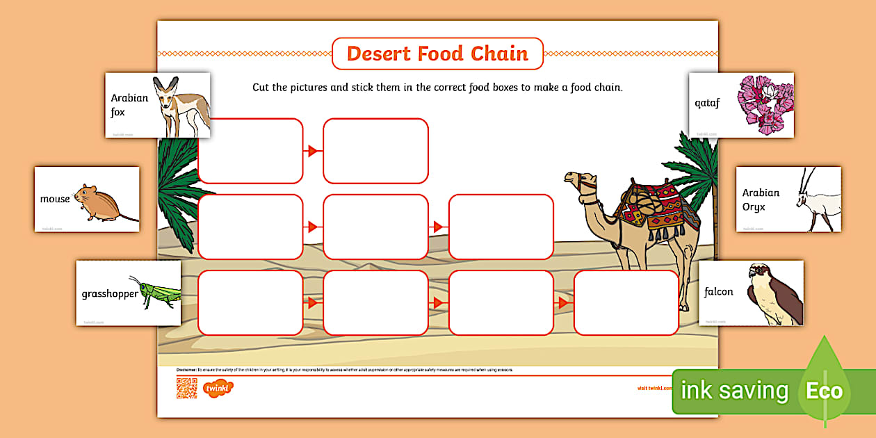 Desert Food Chain Activity (Teacher-Made) - Twinkl