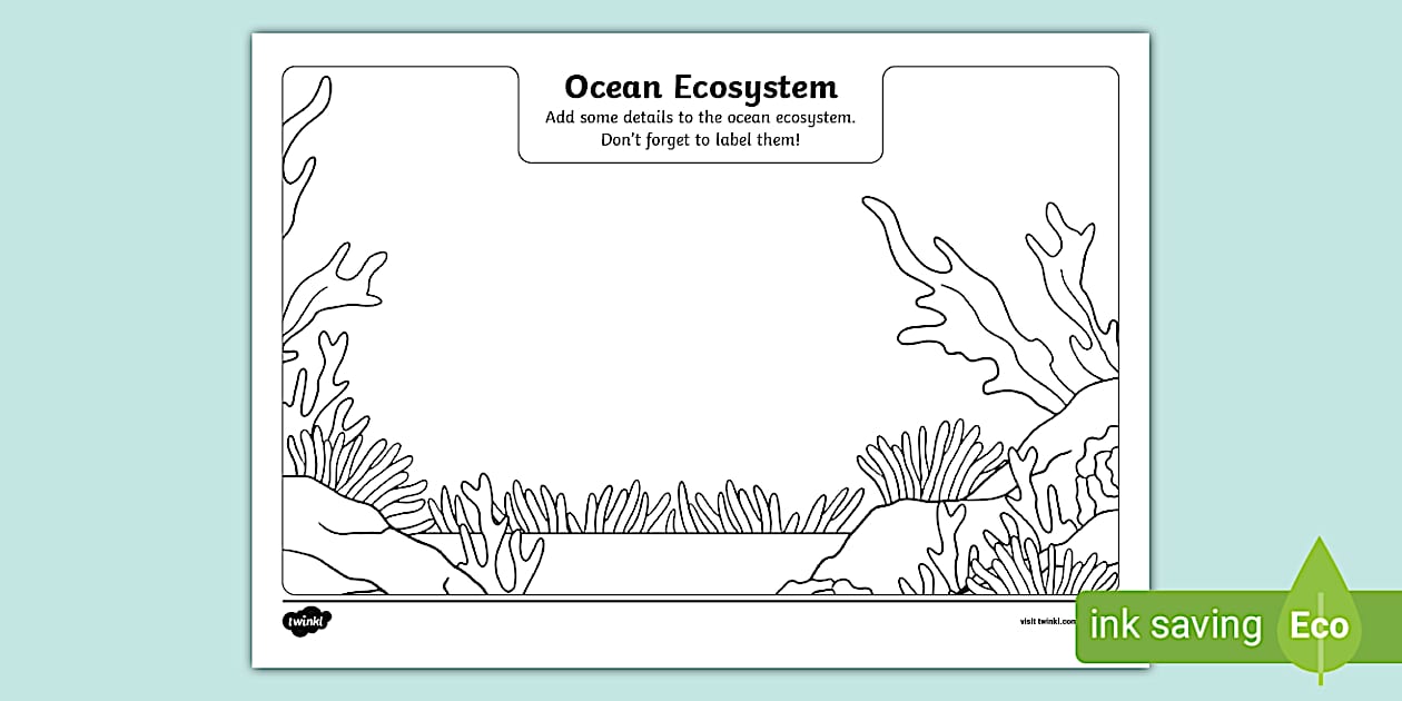 Draw the Ocean Ecosystem Worksheet - Twinkl