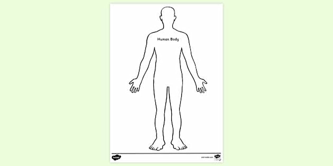 Human Body Outline Colouring | Colouring Sheets - Twinkl