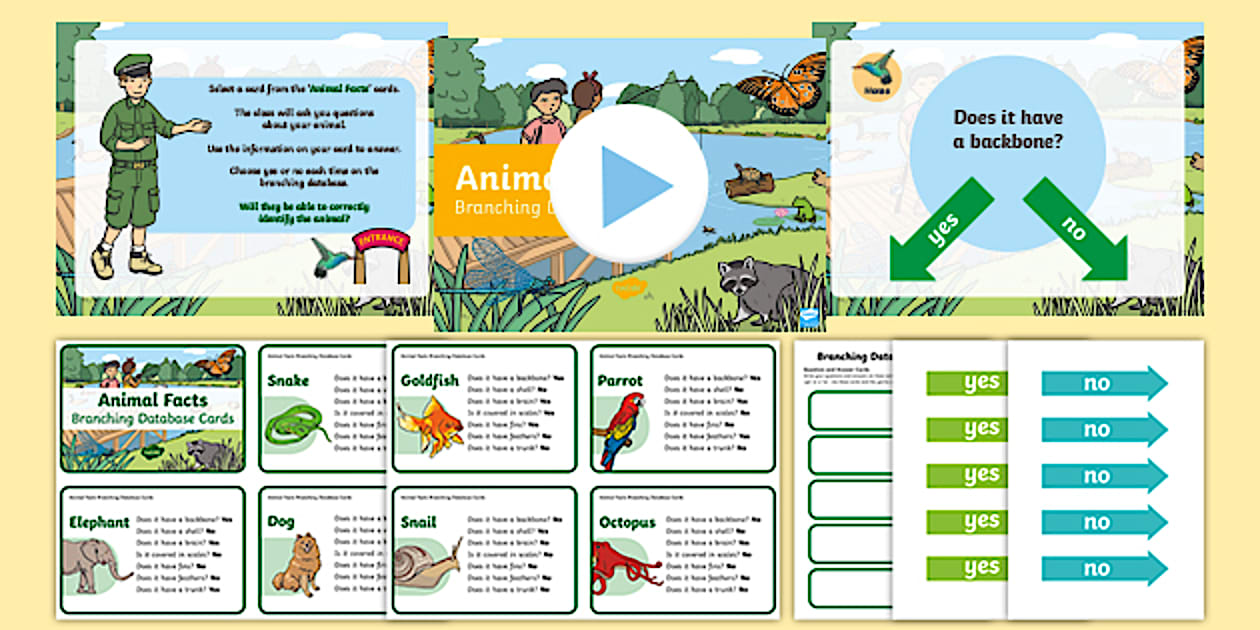 Editable Animals Branching Database Activity Pack - Twinkl