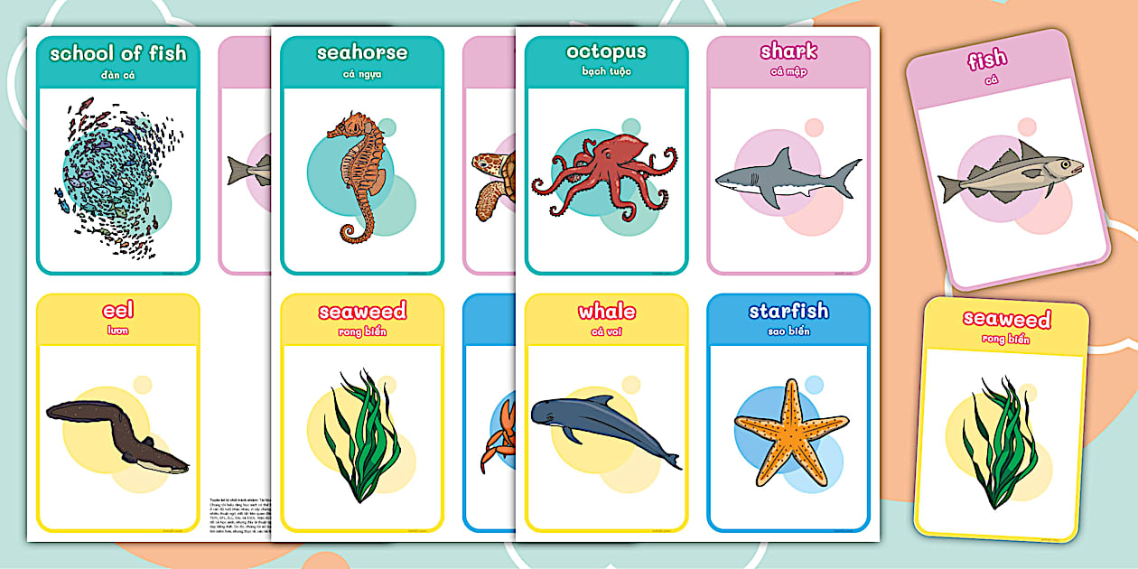 Thẻ Học Từ Song Ngữ Chủ Đề Dưới Đại Dương - Under The Sea Dual Language