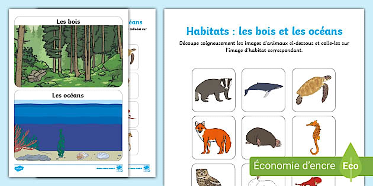 Activité de tri sur les habitats : les bois et océans