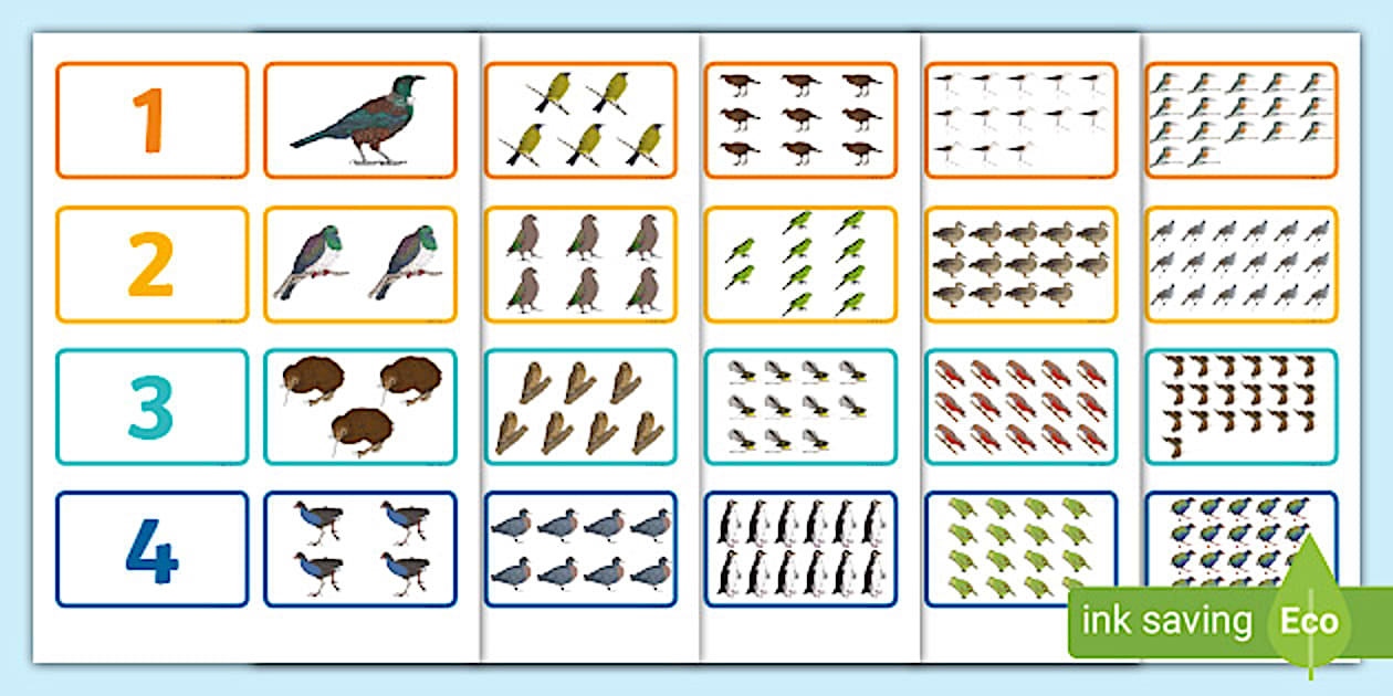 New Zealand Native Birds Counting Matching Cards - Twinkl