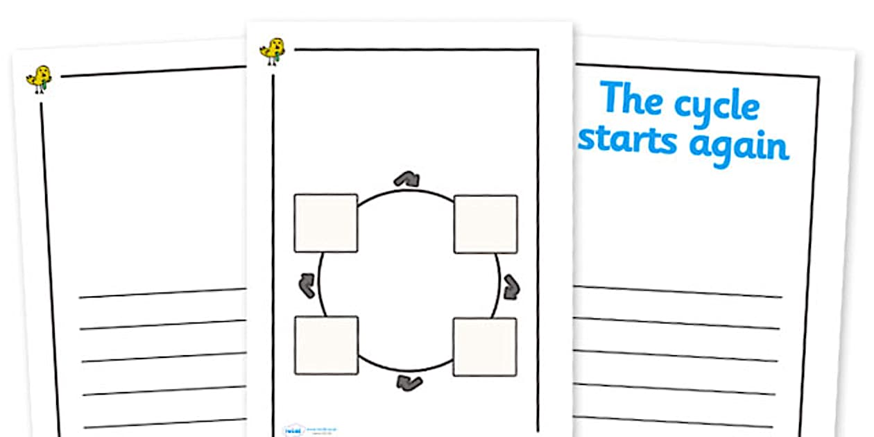 Editable Life Cycle Workbook (teacher made) - Twinkl