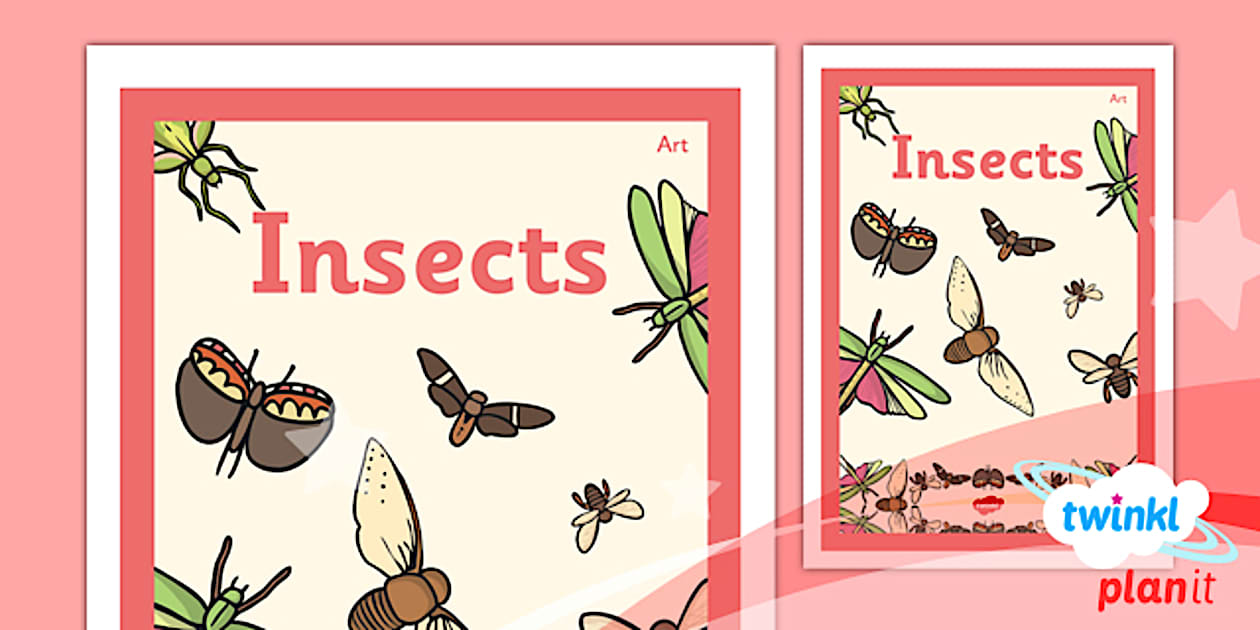 Black and White Art: Insects LKS2 Unit Book Cover - Twinkl