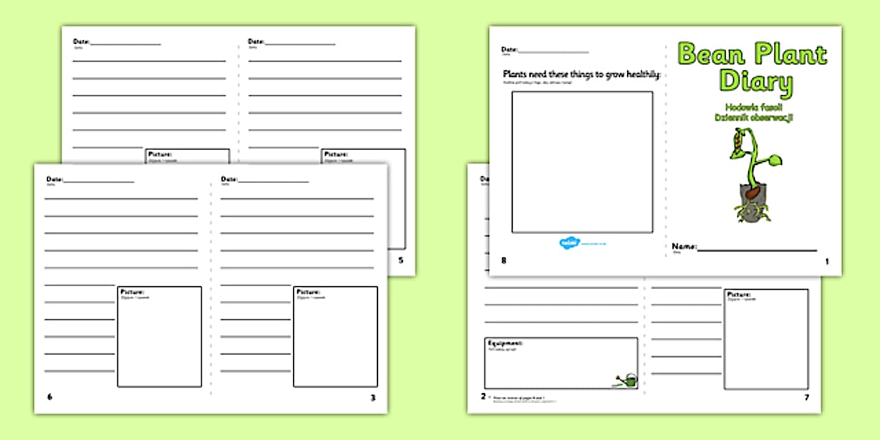 Bean Plant Diary Writing Frame Polish Translation - Twinkl