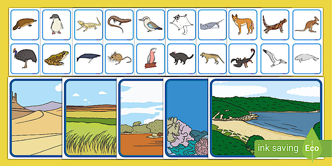 Printable Animal Matching Cards and Their Habitats - Twinkl