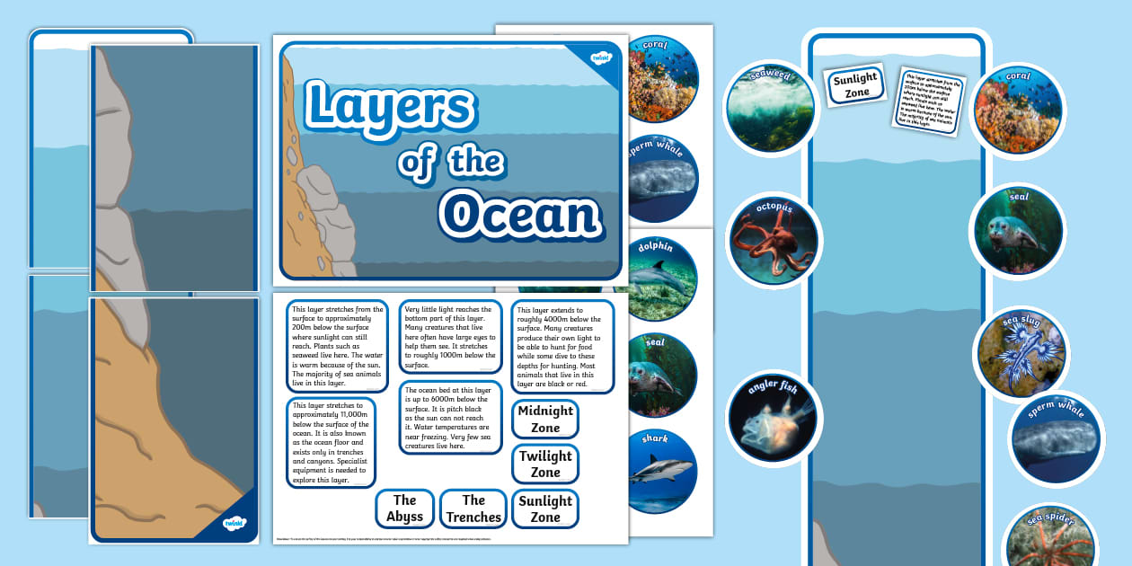 Layers of the Ocean Display - Twinkl - KS1 (professor feito)