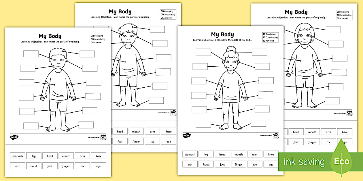 Male/Female Body Diagram with Labels Body Parts Worksheet