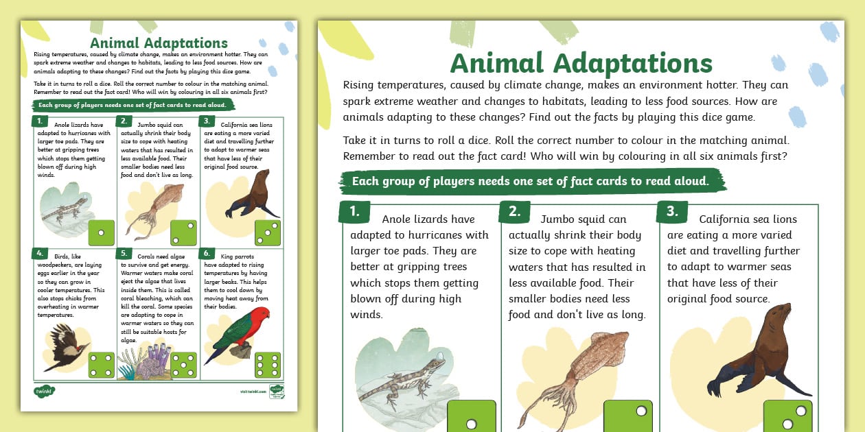 Animal Adaptations Climate Change Dice Game (teacher made)