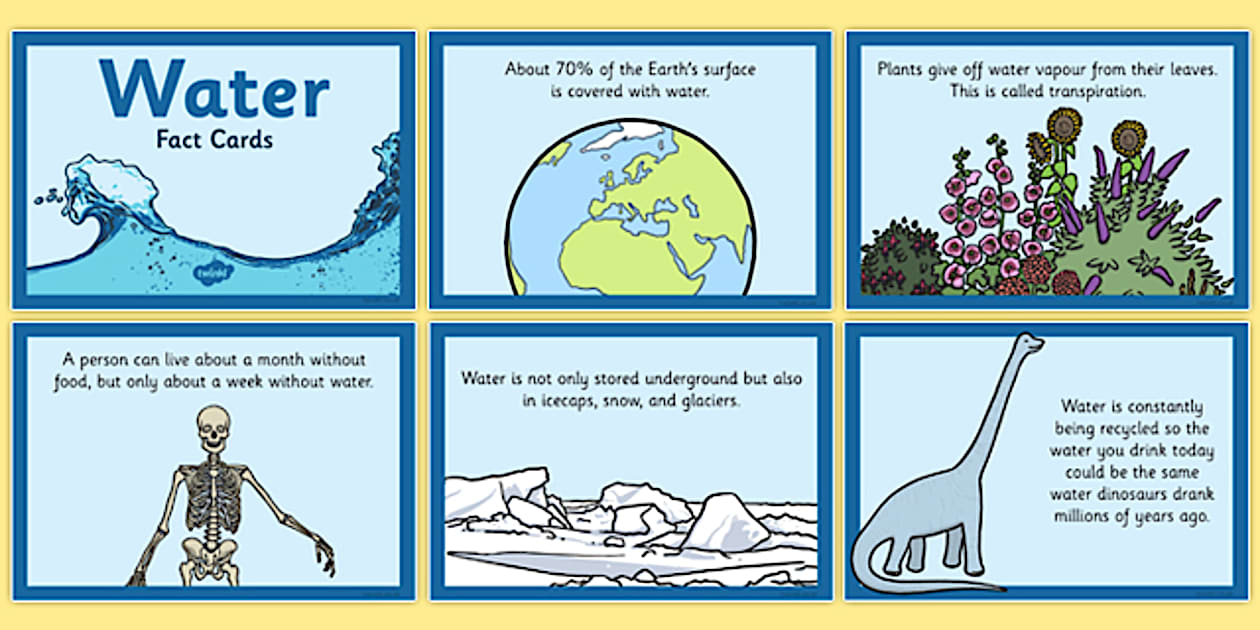 Water Fact Cards for Classroom or Home use (teacher made)