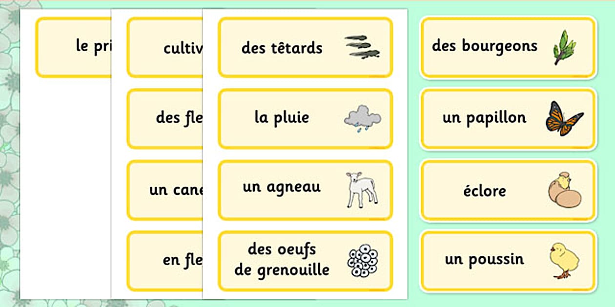 Editable Spring Word Cards French (teacher made) - Twinkl