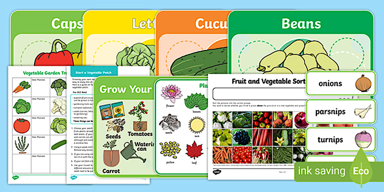 Growing Vegetables Resource Pack - EYLF - The Environment