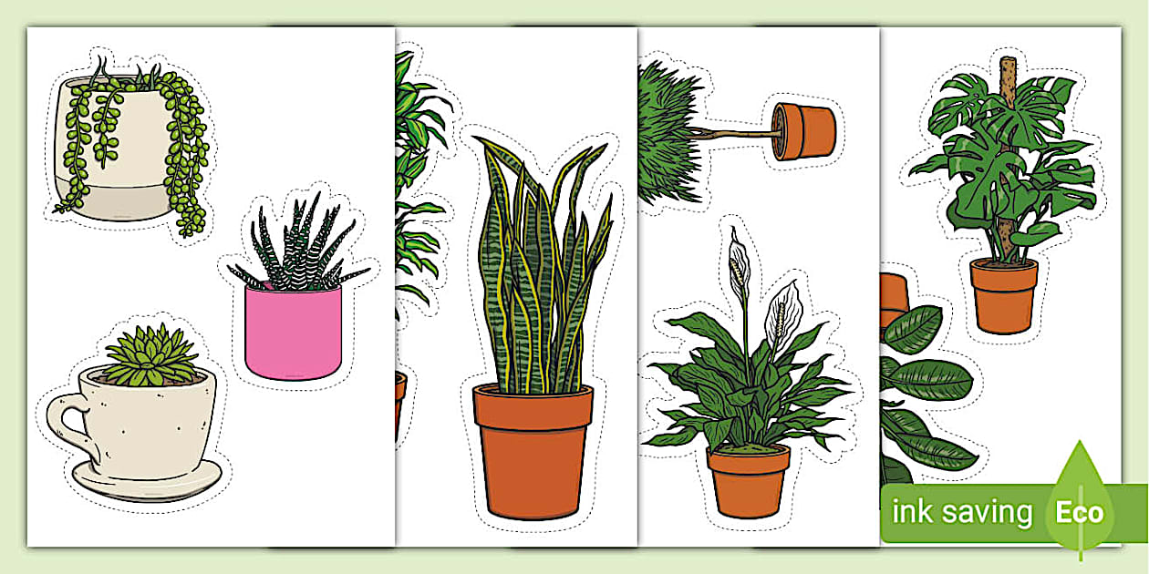 Indoor Plant Cut Outs | Twinkl - Twinkl