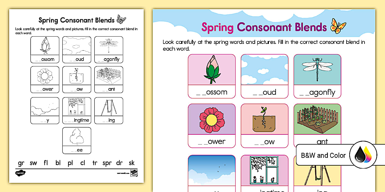 Spring Consonant Blends Activity Worksheet (teacher made)