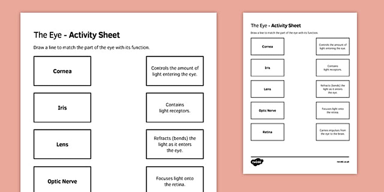 Editable The Eye Match and Draw (teacher made) - Twinkl