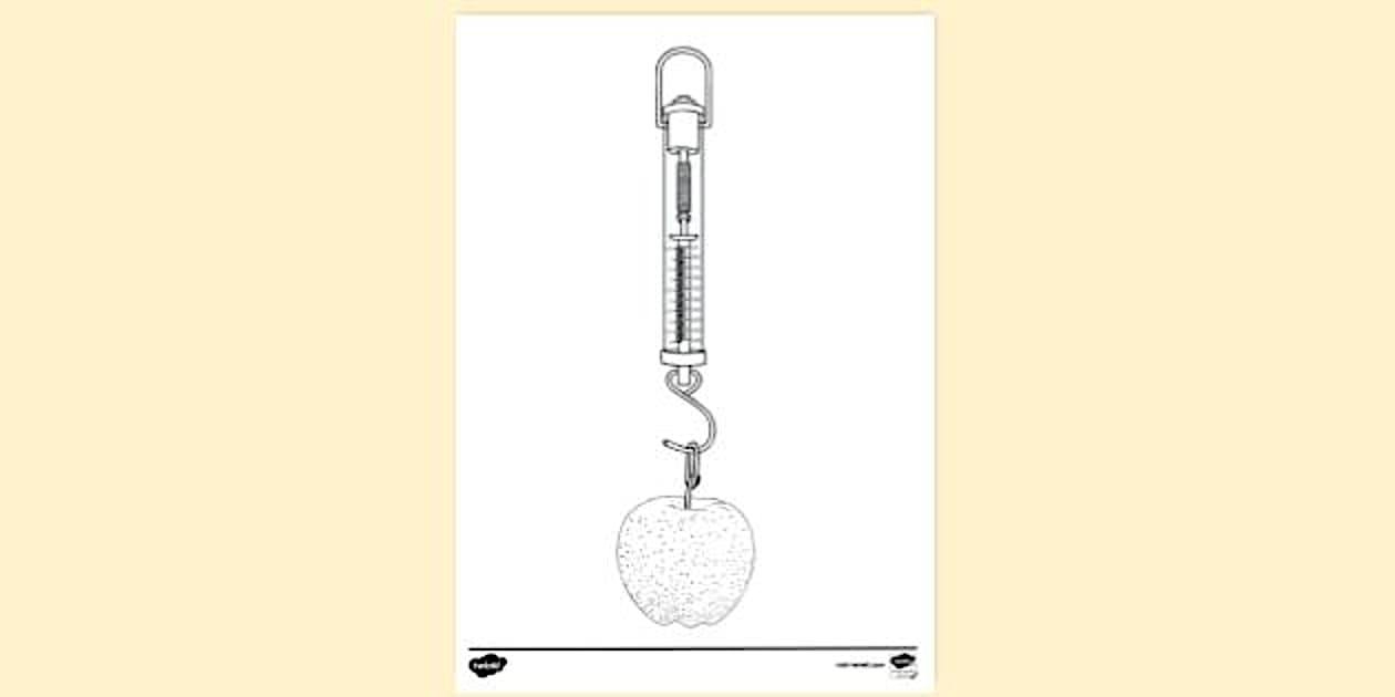 Newton Meter Apple | Colouring Sheets (teacher made)