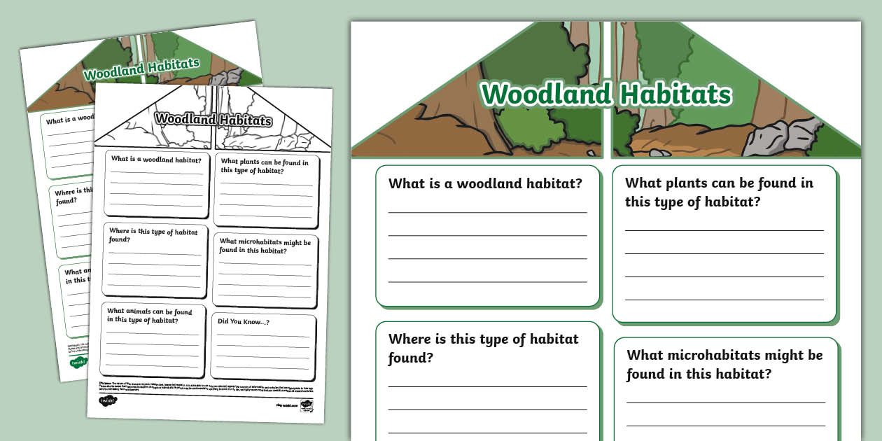 Woodland Habitats Fact File Template