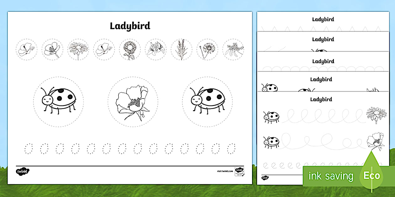 Ladybird Pencil Control Worksheet / Worksheets - Twinkl