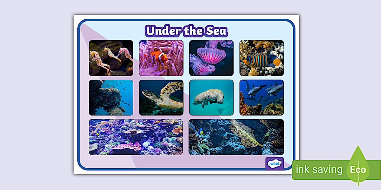 Under the Sea Photo Display Poster (Teacher-Made) - Twinkl